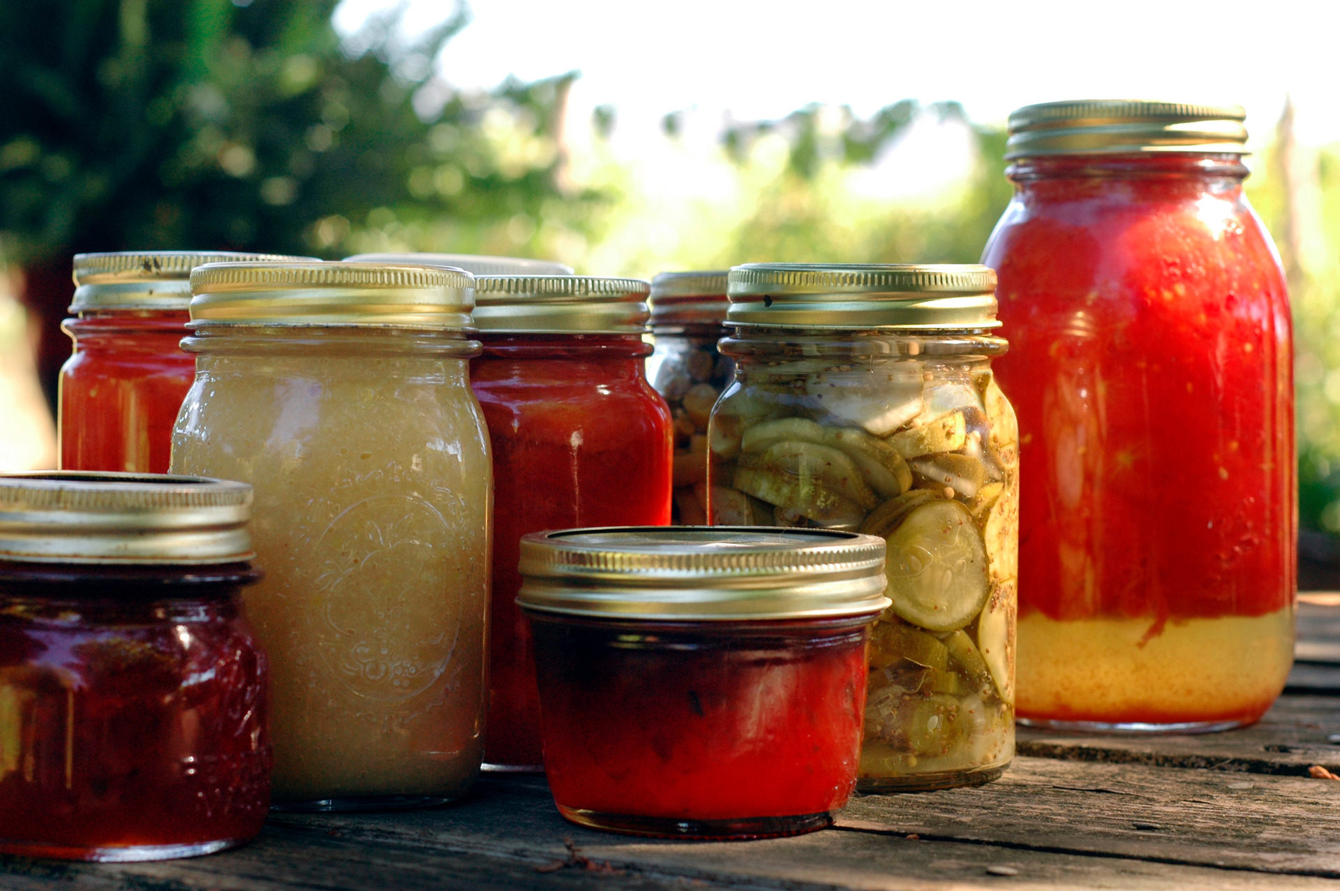Preserving with Purpose – Videos – Mother Earth News